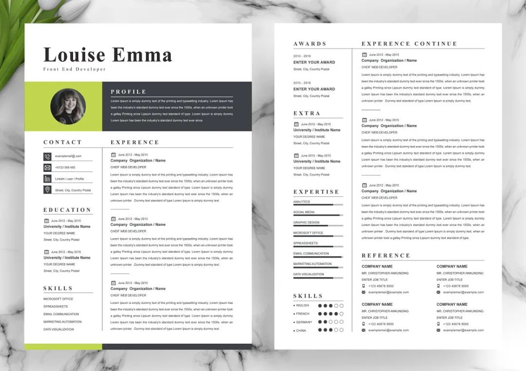 Appreciate foreign resume design!Learn the layout - iNEWS