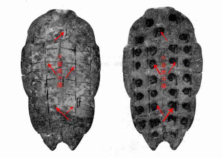 Yi Yin and Dai Mei were adults, one became a concubine of Shang Tang ...