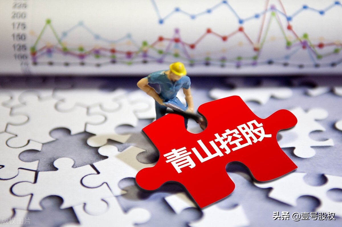 Epic squeeze!The shareholding structure of Tsingshan Holdings, China's ...