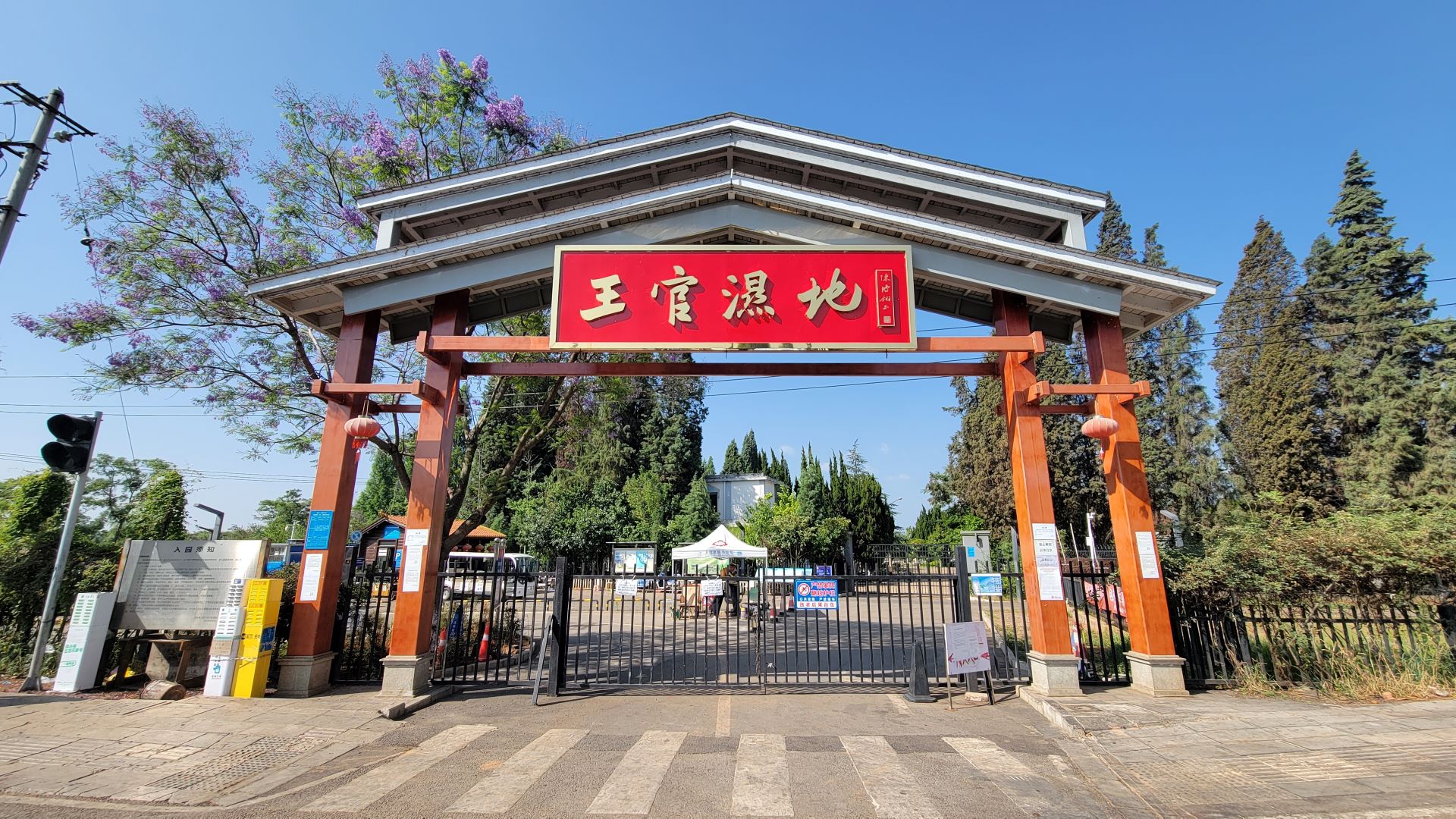 2023 Kunming Wangguan Wetland Park Viewing Hydrangea Sea Raiders - iNEWS