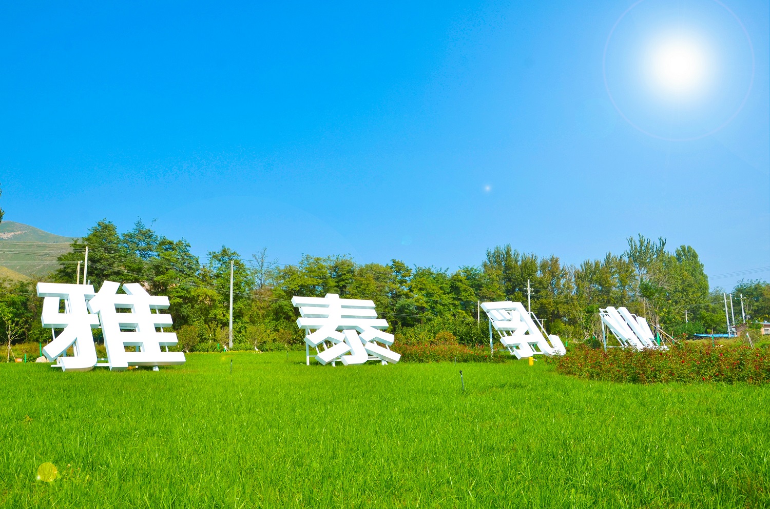 Top 10 brands of adult goat milk powder, Yatai Pastoral leads the new ...