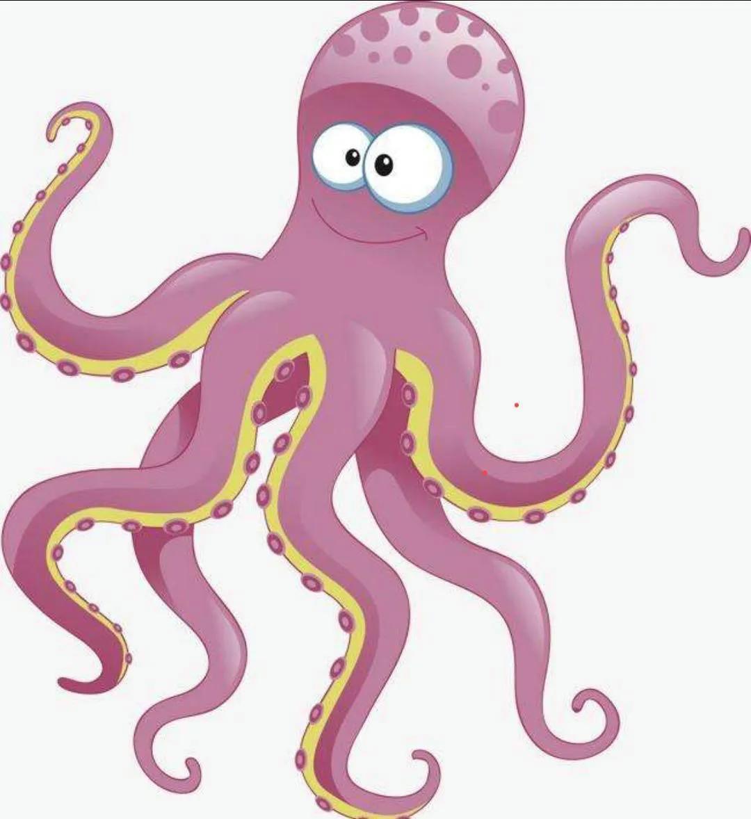 Octopus, squid, and octopus can't tell the difference? If you have ...