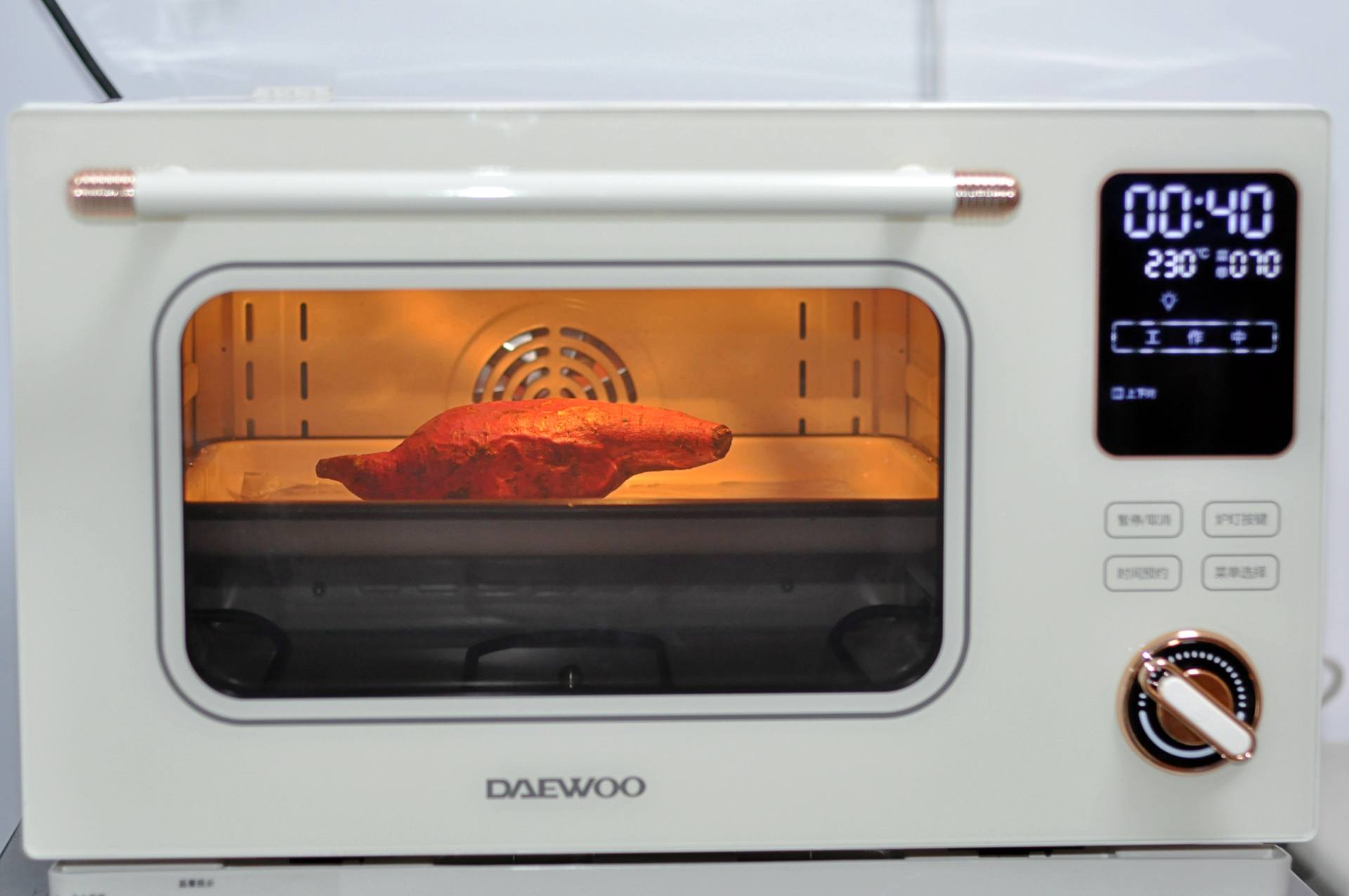 Simple operation to cook difficult dishes: Daewoo K9 steaming, grilling ...