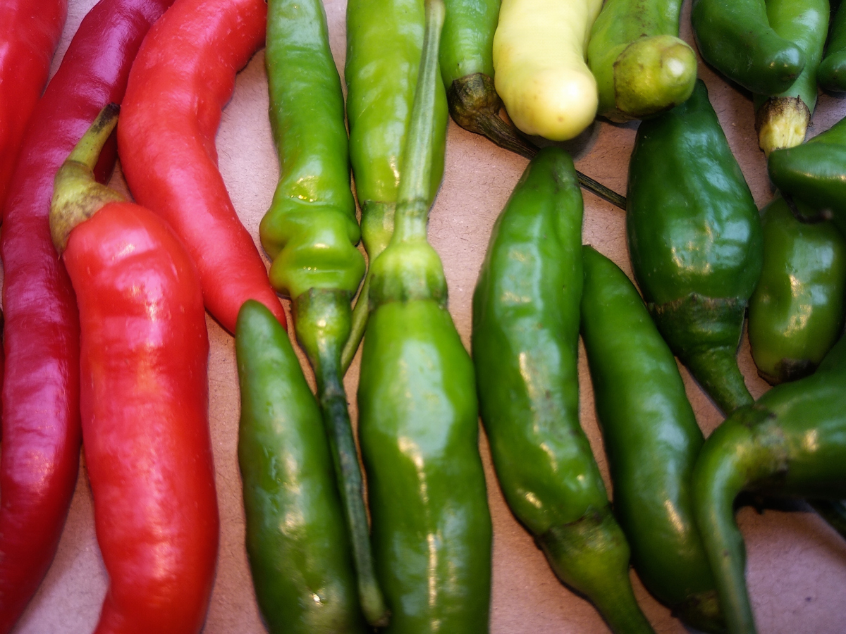 The most authentic way of Hunan cuisine chili fried pork - iMedia