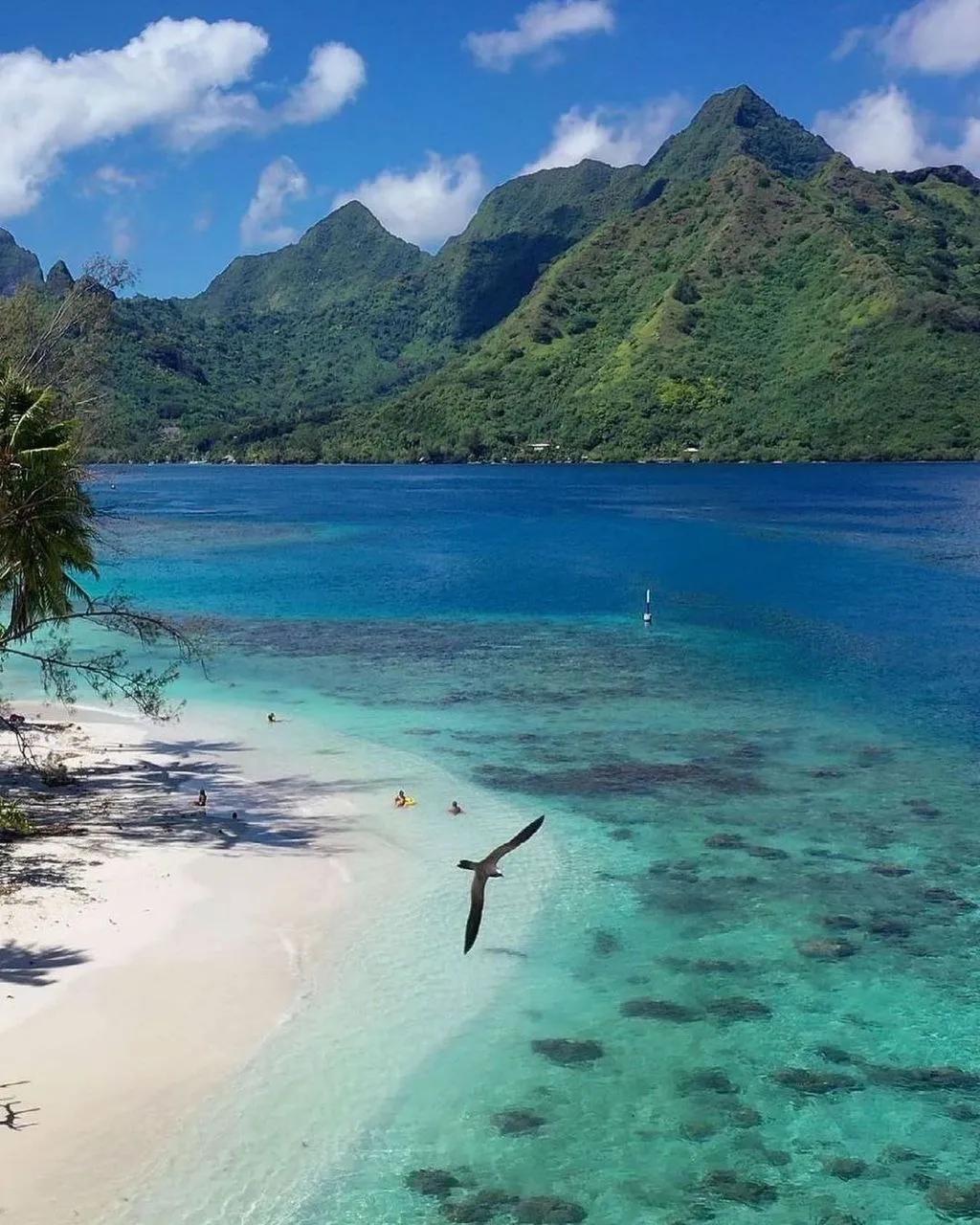Moorea, French Polynesia - iNEWS