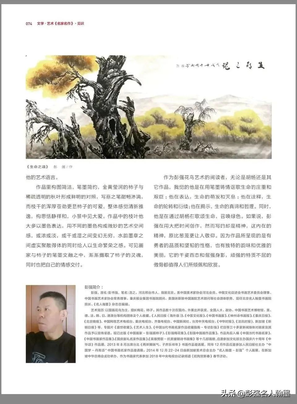 Poetic Persimmon Chengxiang - iNEWS