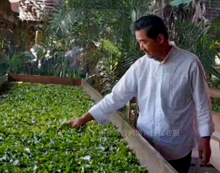 It was revealed that Zhang Guoli hoarded 60 tons of tea and made 1.8 ...
