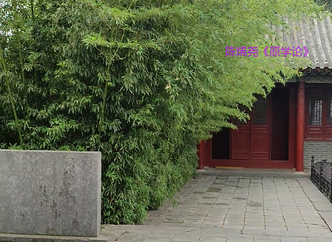 Chen Shiyao: Can Yuan Xue become the starting point for the awakening ...