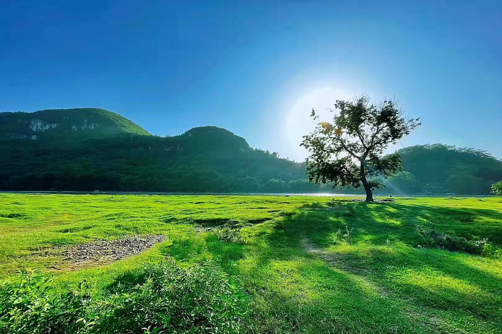 The wise mind and action, the unity of knowledge and action, prudence ...