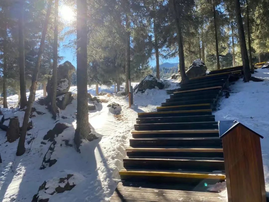 In the March of Tianshan Tianchi, go to a spring appointment - iNEWS