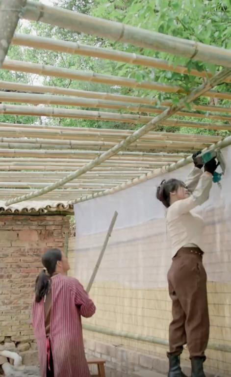 The slightly fat ceiling Que Peiqi gave up a million annual salary to ...