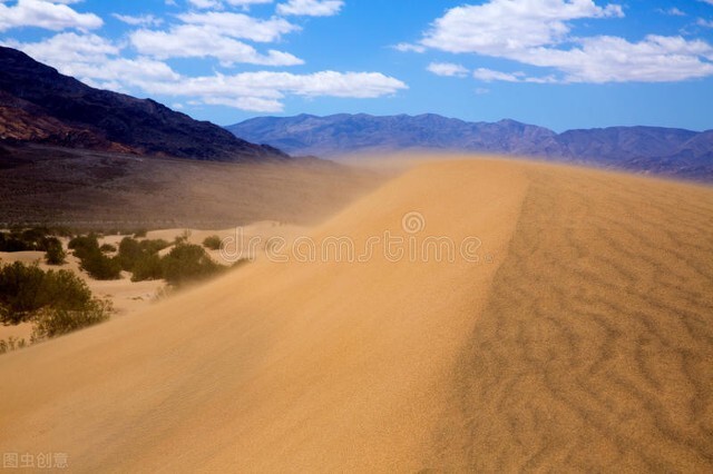 Little Poem - Sandstorm - iNEWS