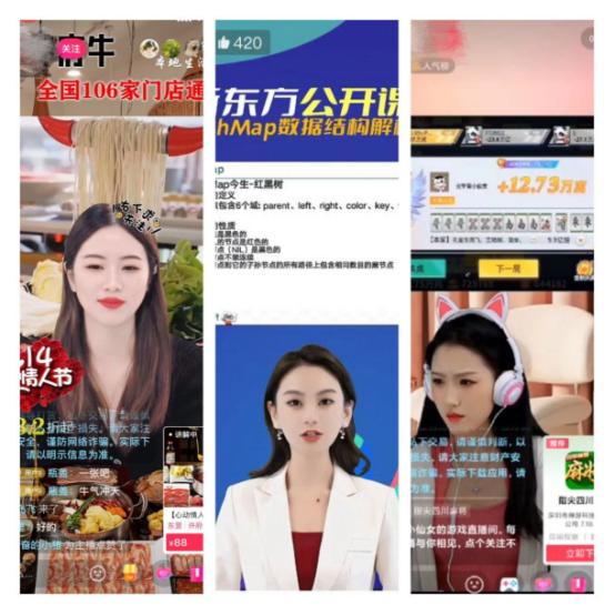 Comparison of digital human live broadcast platforms: silicon-based ...