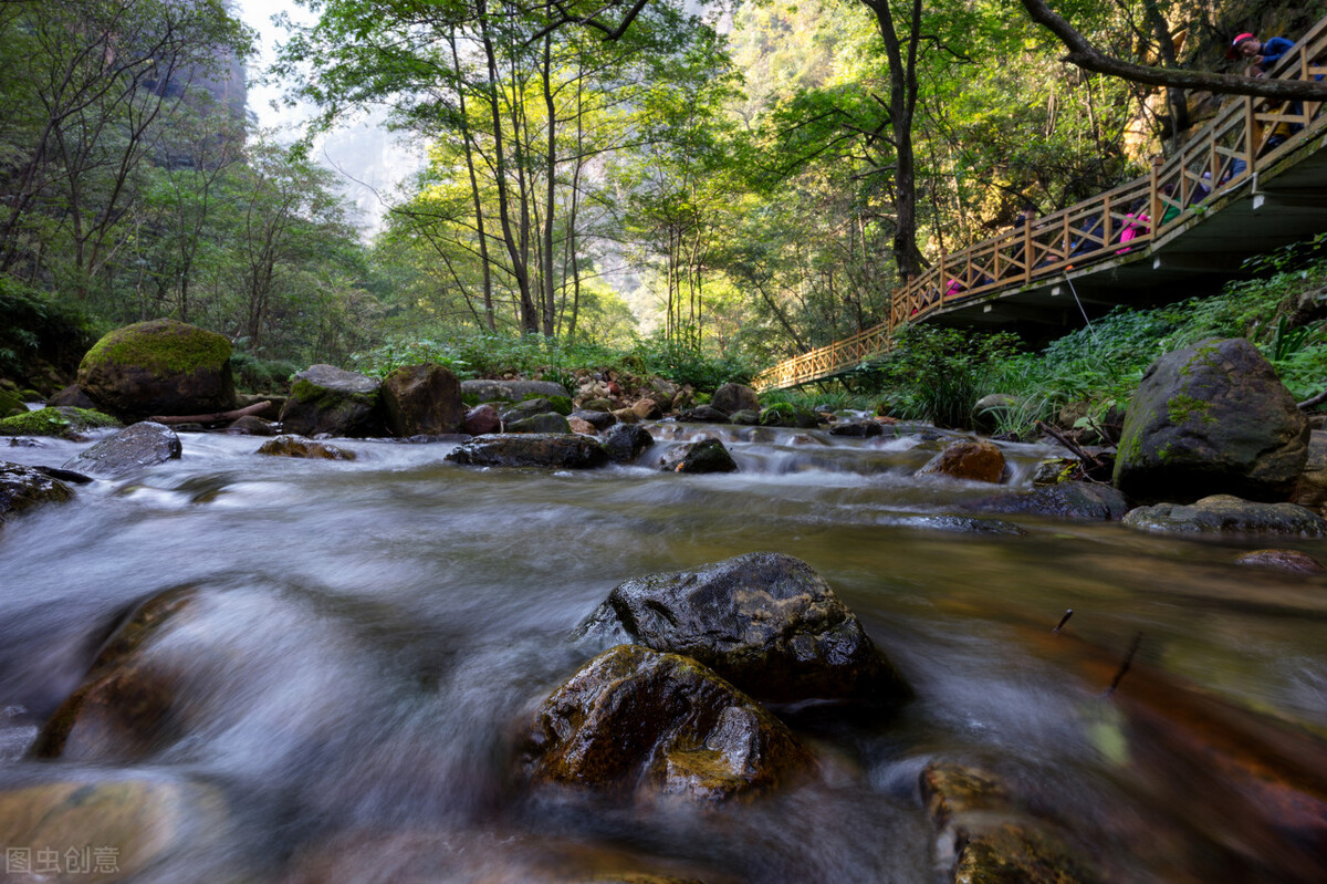 Six Notes on Peng Liming's Reading of "Hongye" - iNEWS