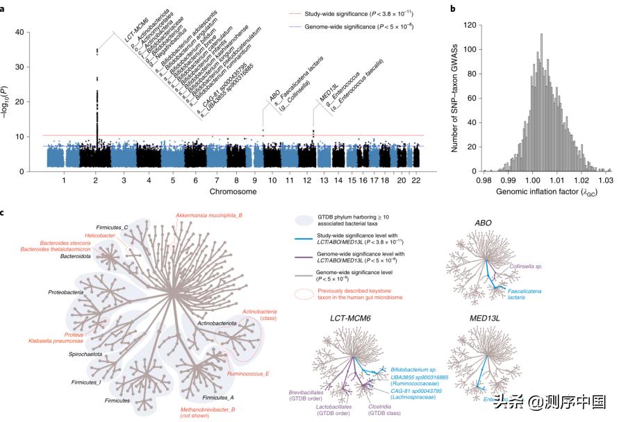 GWAS analysis reveals genetic and dietary effects on human gut ...