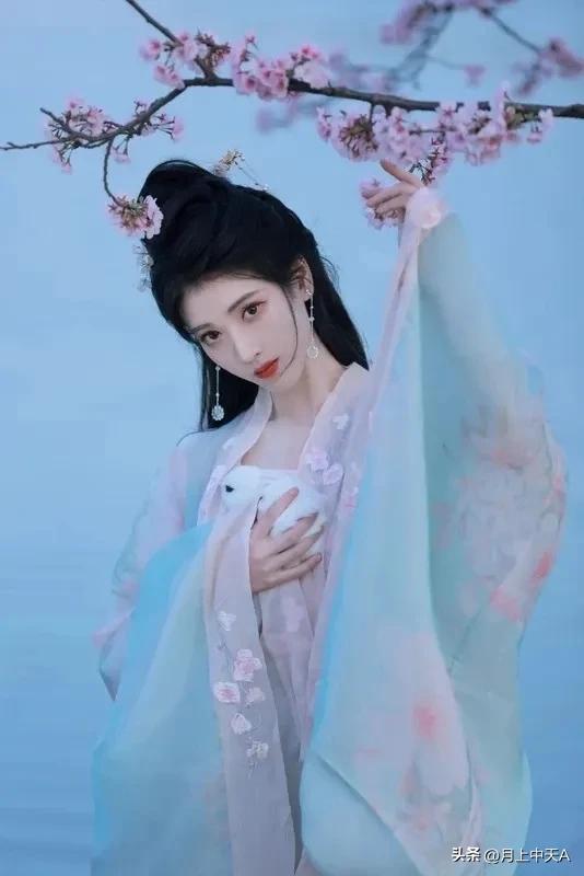Apricot Blossoms: Six Poems of Poetry by Lin Zhengyun - iNEWS