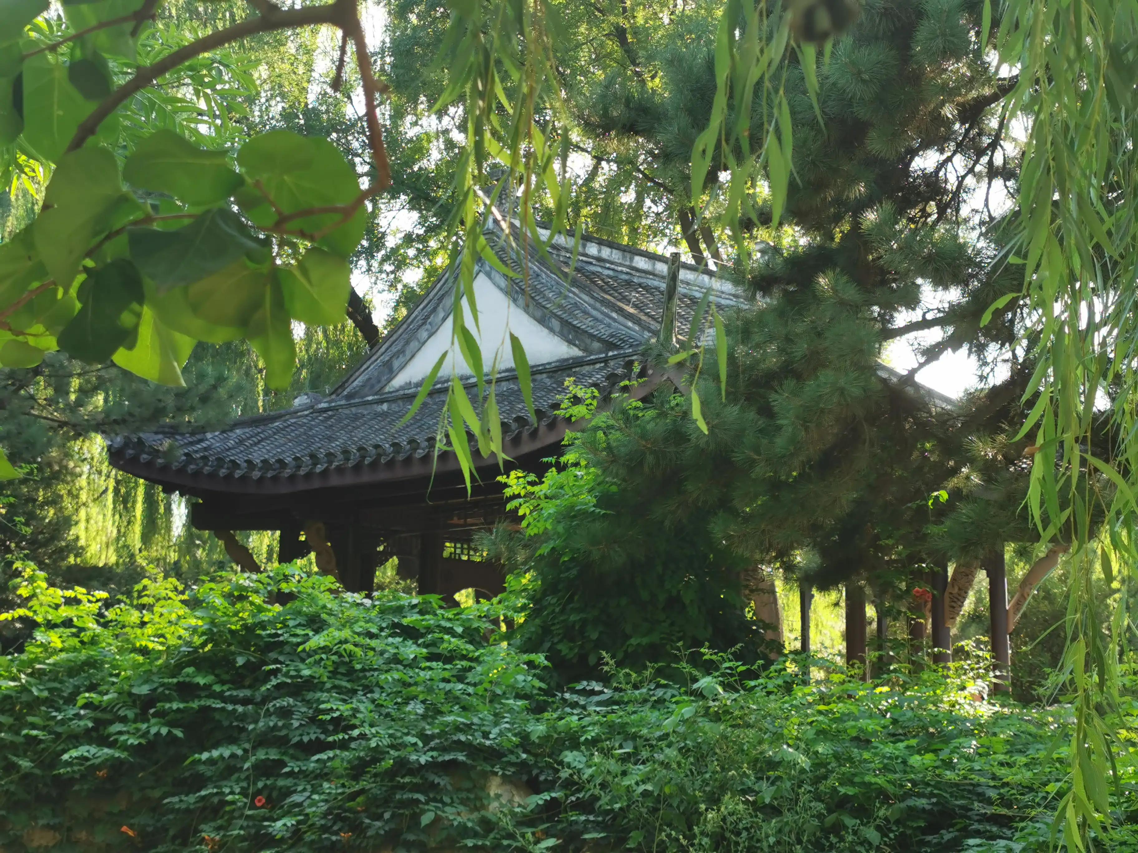 Autumn Tour Taoranting Pavilion - iNEWS