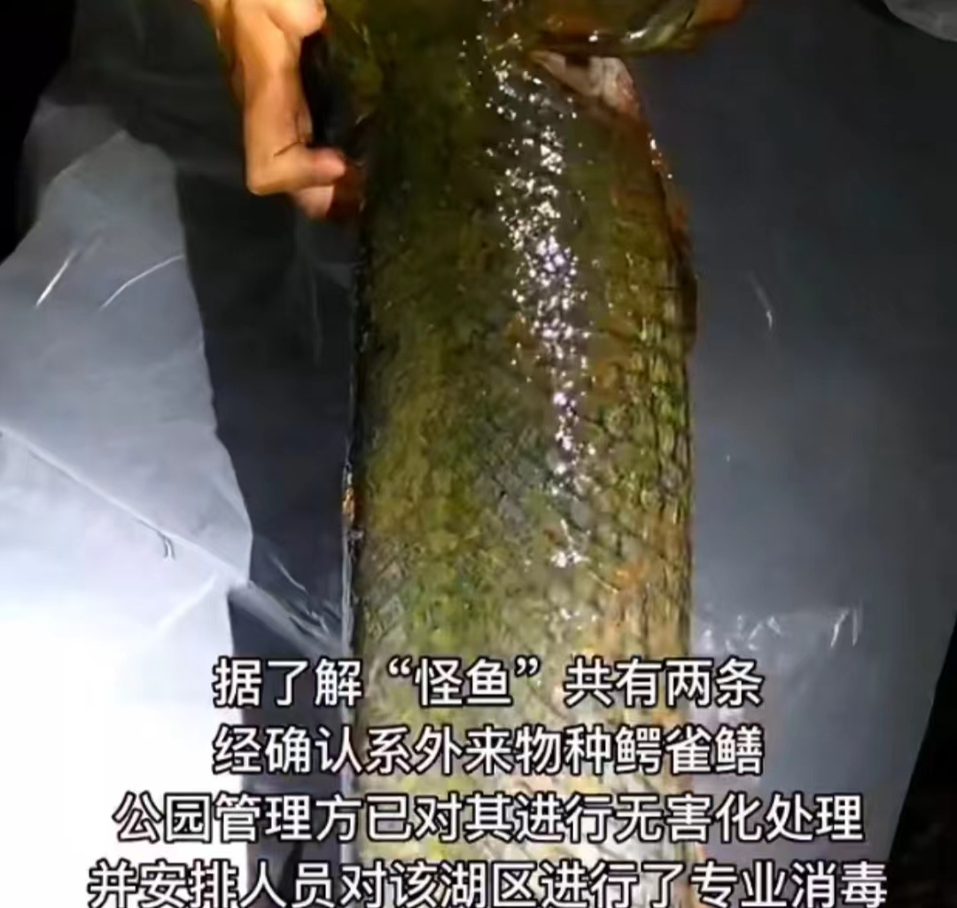 The lake is almost drained, and the "killer in water" has not been ...