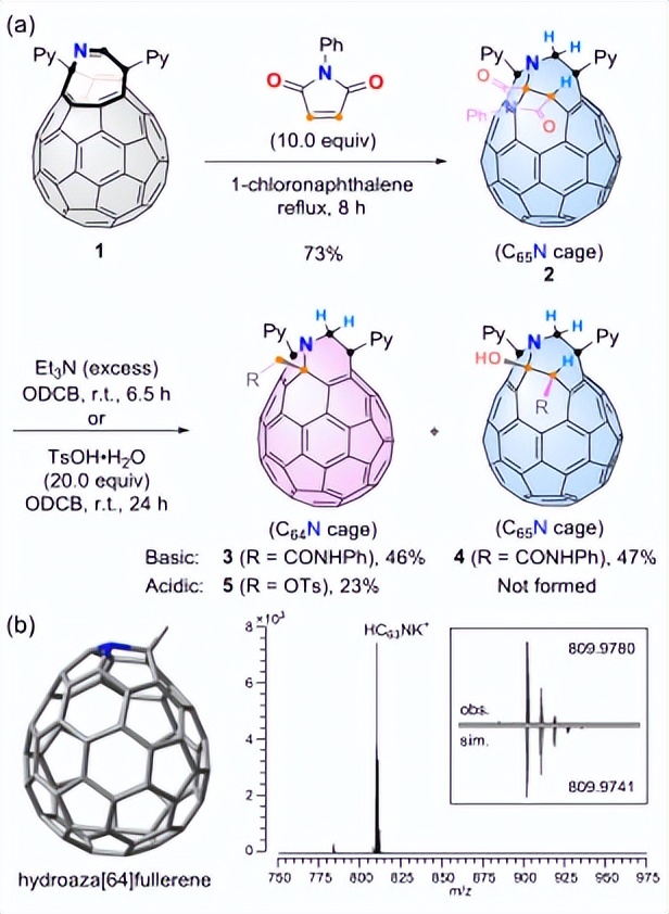 A new breakthrough in the theory of cage expansion: the amplification ...