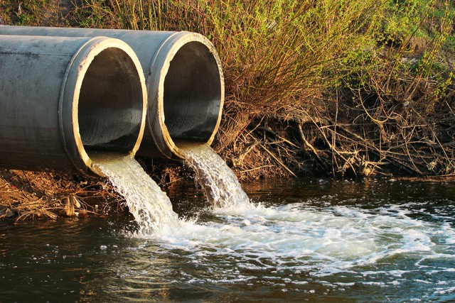 How harmful is it if millions of tons of nuclear sewage enter the sea ...