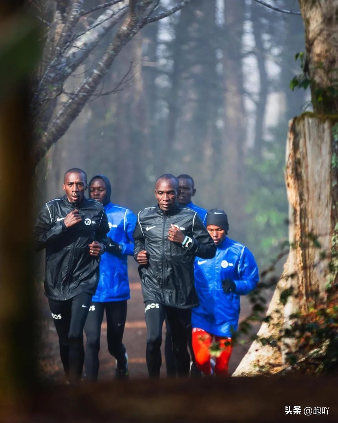 6 moves and you're done!Kipchoge's same core training method allows you ...