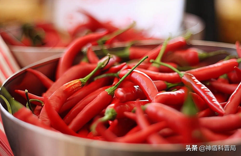 Why is Zunyi pepper so famous?Chinese Chili Sees Zunyi, Spicy, the Soul ...