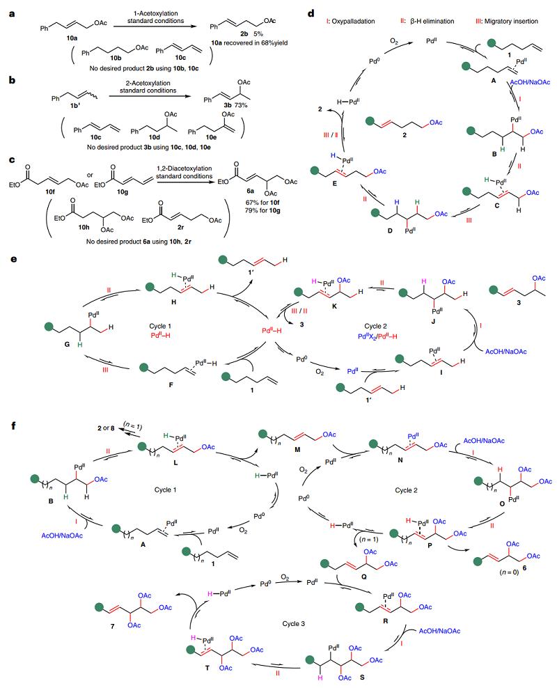 Multisite programmable functionalization of alkenes via tunable ...