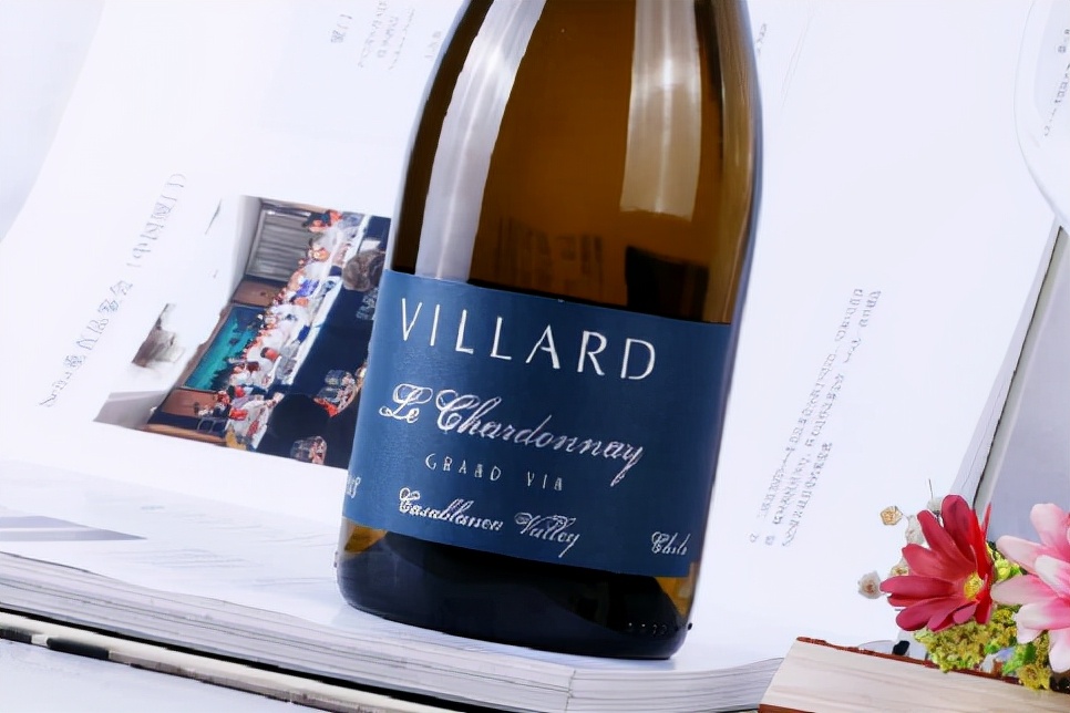 Read Chilean Wine Labels in One Minute - iNEWS