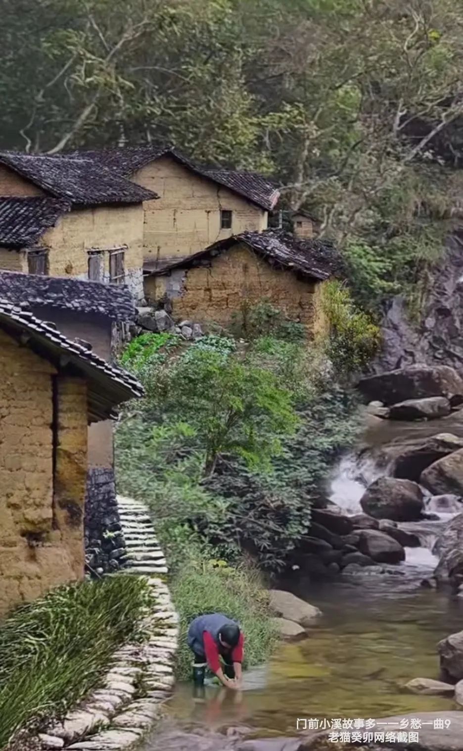 Yang Chengbin and Yang Yanhua's brothers and sisters jointly composed ...