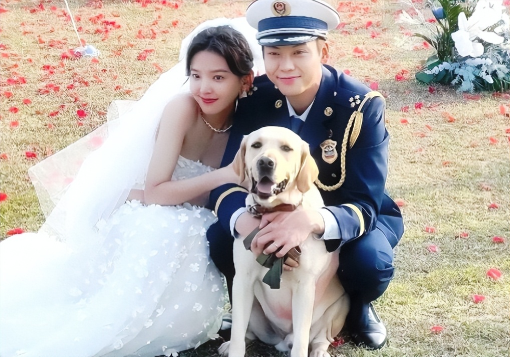 Yang Yang and Wang Churan's new drama is finalized! Idol dramas with ...