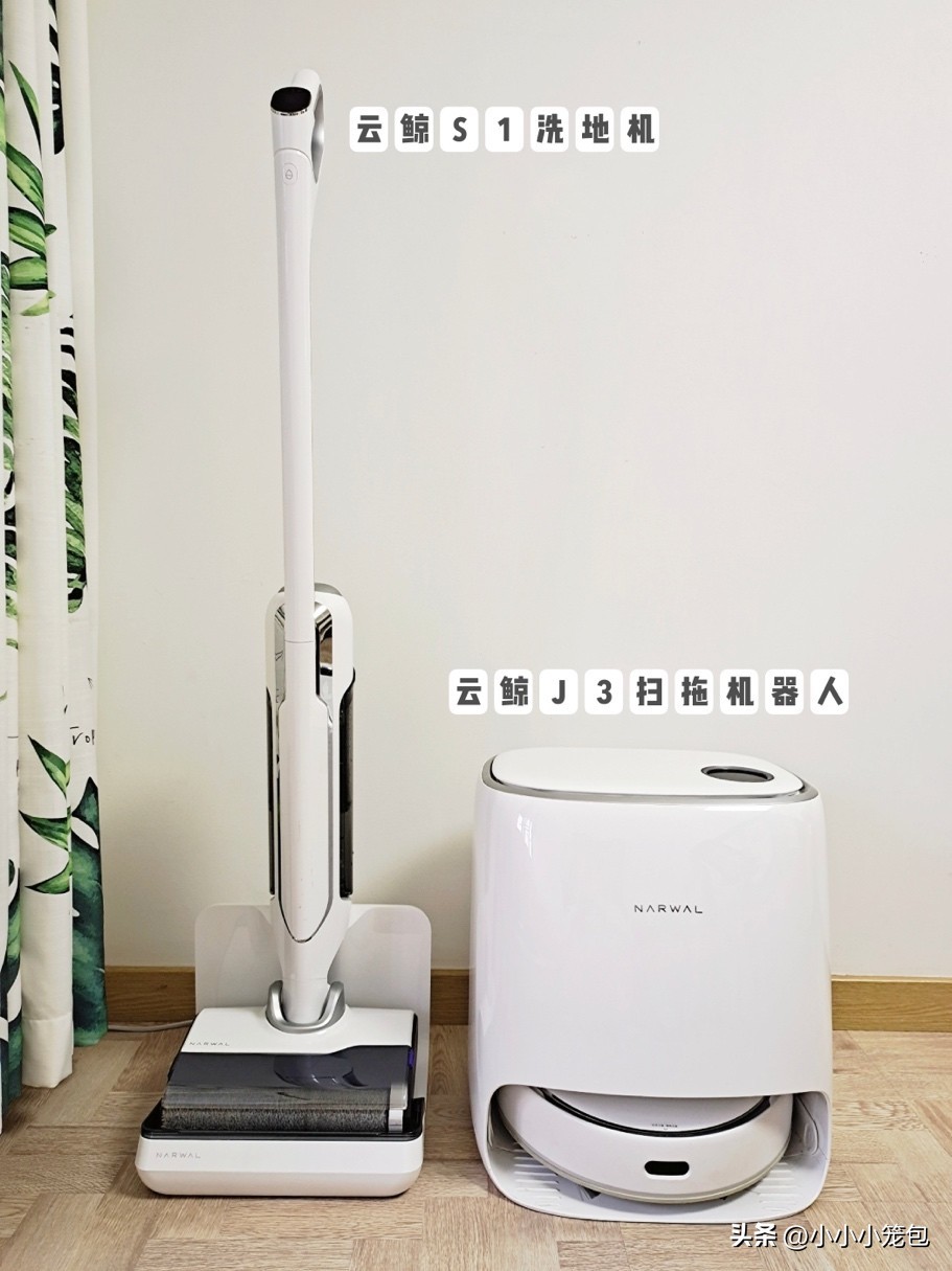 Cloud Whale also launched a washing machine! New product S1 scrubber ...