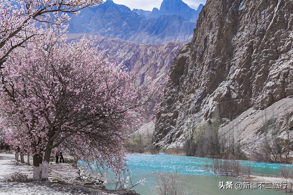 Xinjiang March Pamir Plateau Apricot Blossom Tour Itinerary - iNEWS