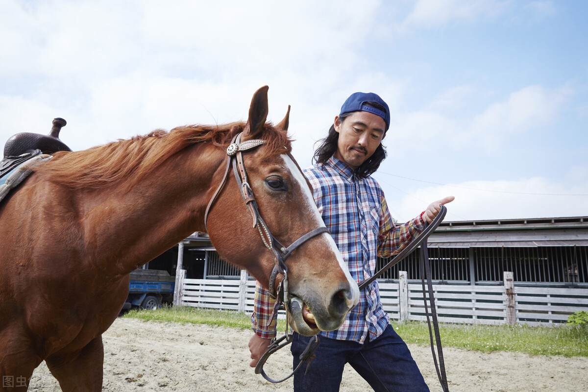 How to distinguish between a mare and a stallion?It can be easily ...