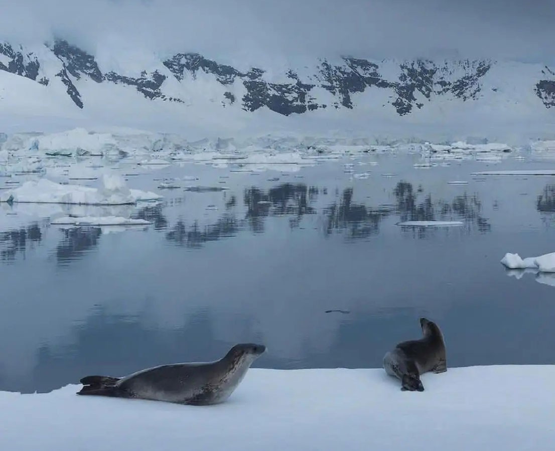 The world's largest unclaimed land, with an area 1.5 times larger than ...