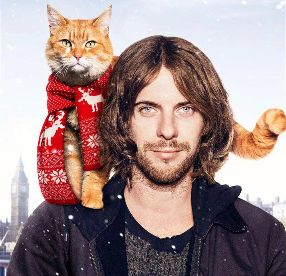 The redemption between stray cats and homeless people, one person, one ...