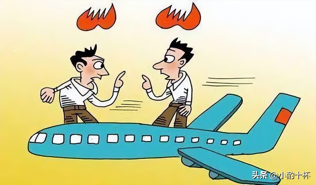 Outrageous! The fight on the passenger plane broke out at an altitude ...