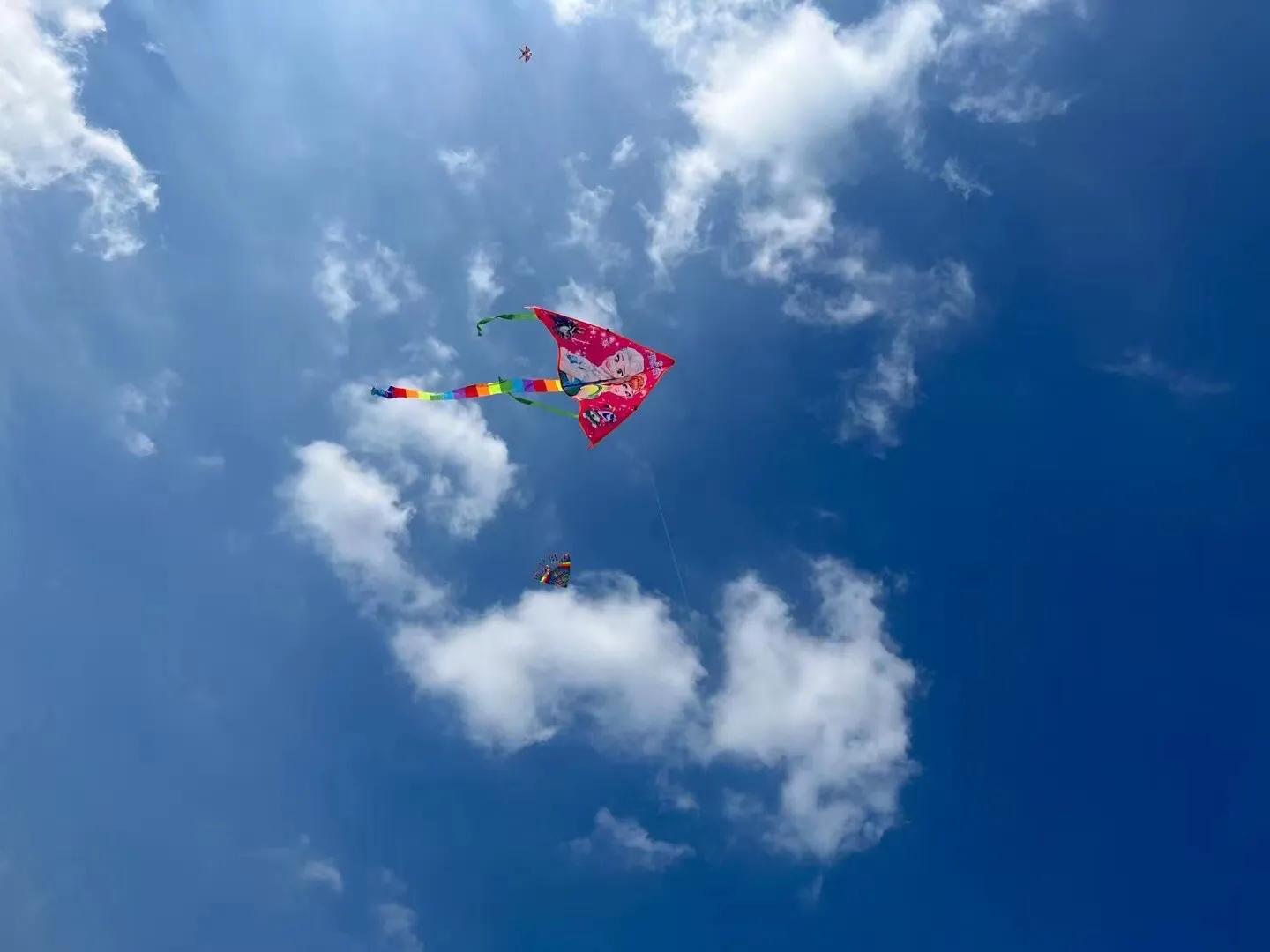 Kite flying 5 "original" - iNEWS
