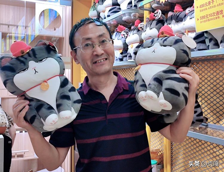 找啊找，找到許多貓朋友 - 資訊咖