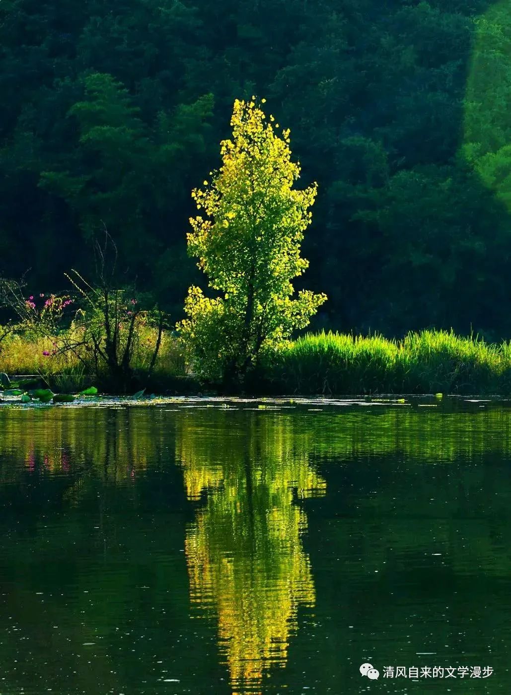 Shallow talk, light hurt, where should poetry go? - iNEWS