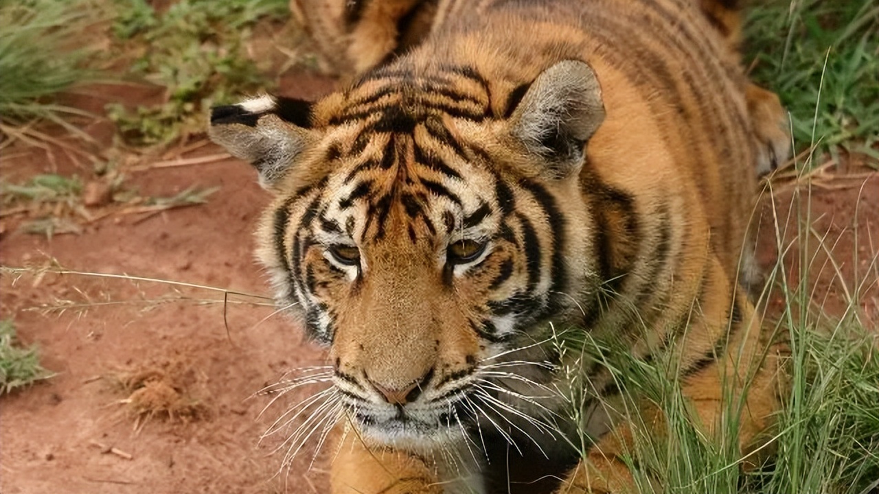 Looking at the details of the movie, what are the effects of the three editing methods on the ...