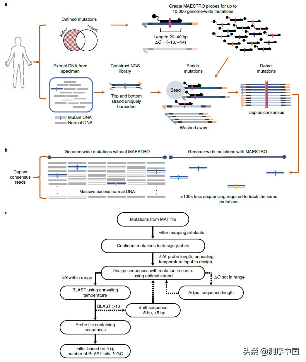 MAESTRO, a low-frequency mutation detection method for tumor MRD ...