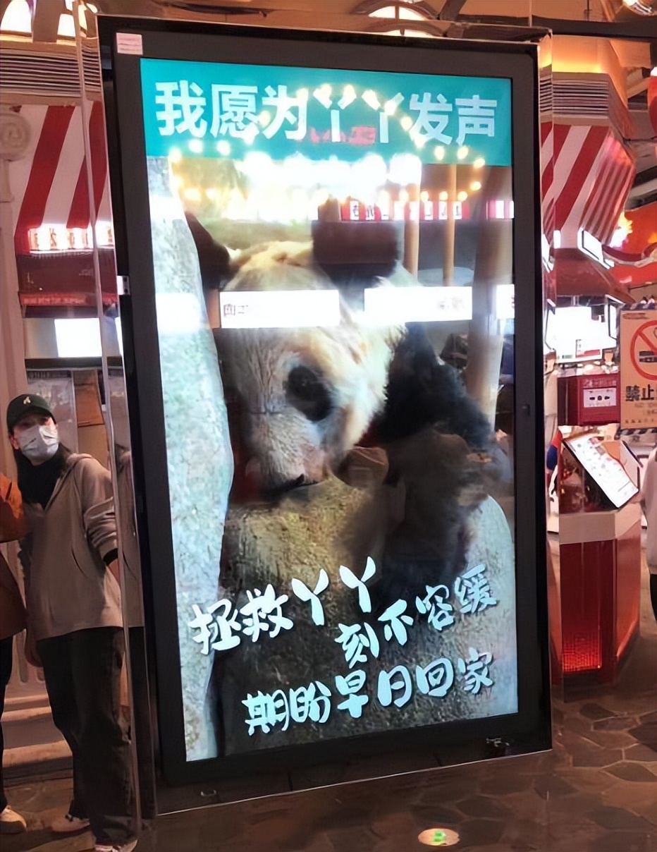 move! Netizens paid a lot of money for Yaya to buy a projection screen ...