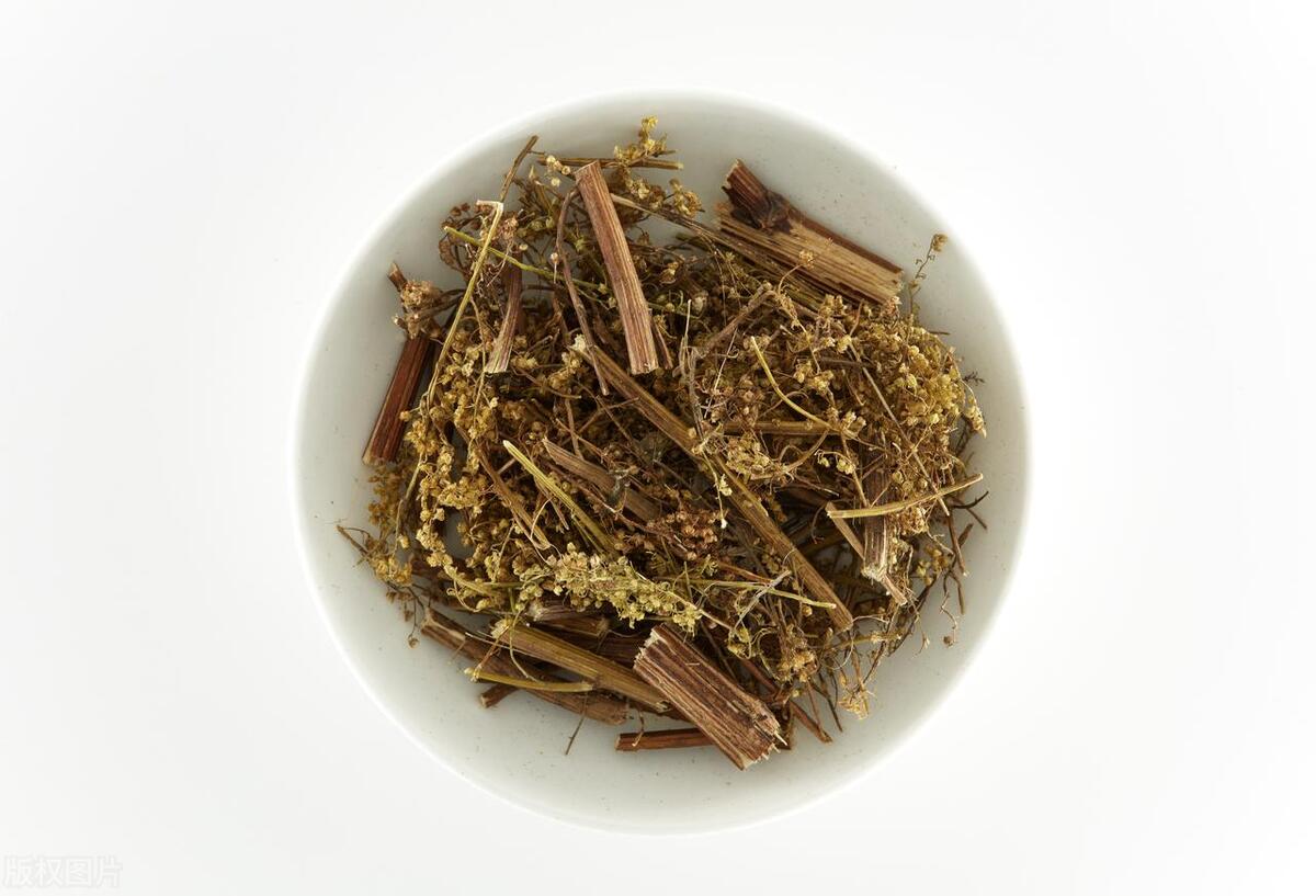 Artemisia annua (clearing deficiency and heat medicine) - iNEWS