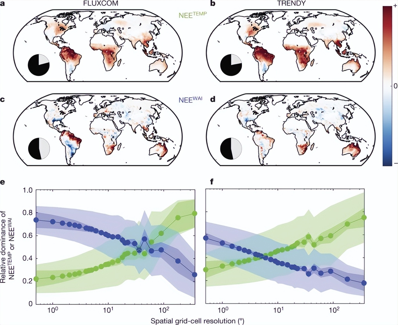 Compensating effects of moisture link interannual variability in global ...