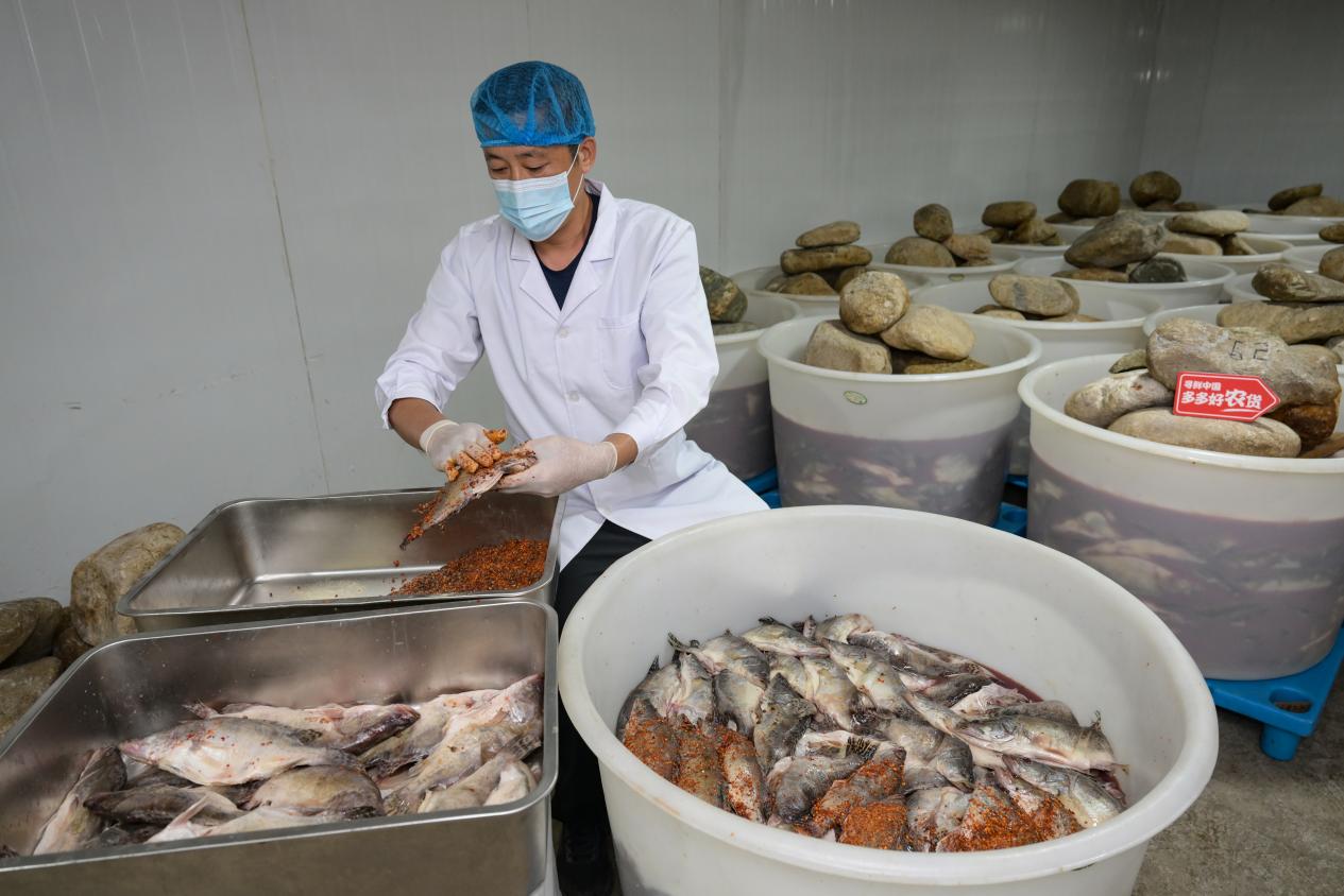 The century-old stinky mandarin fish "touched the net" broke the circle ...