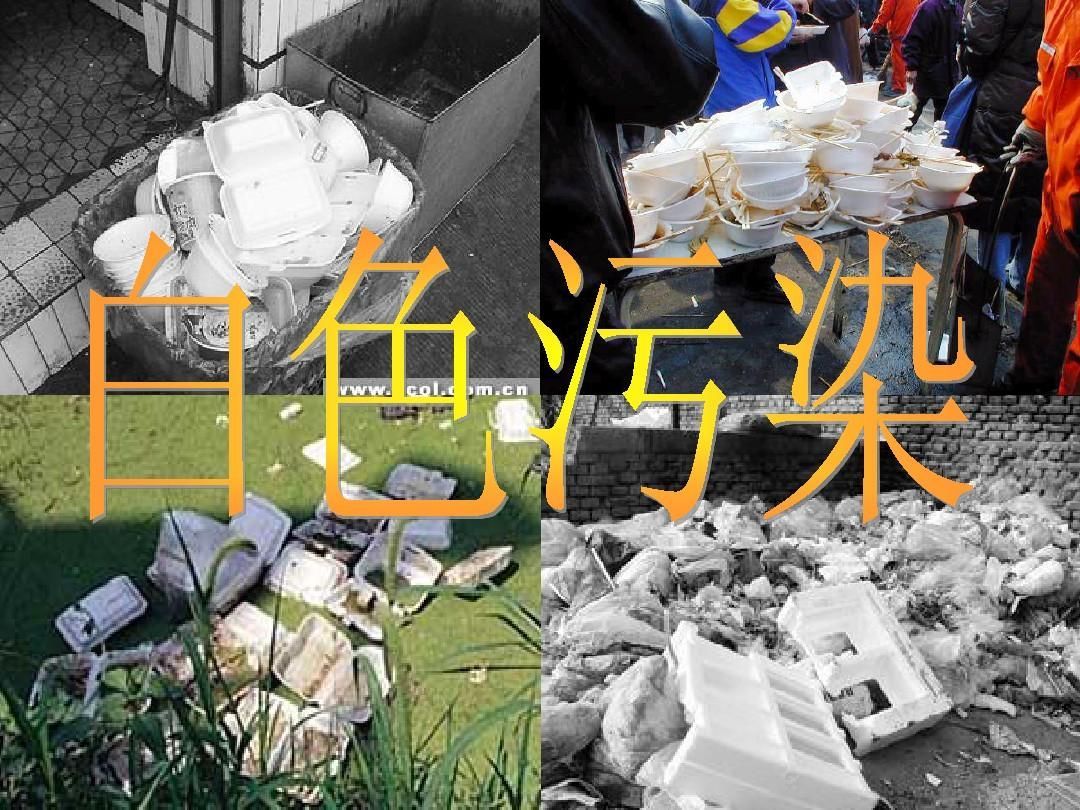 Can insects that can "eat plastic" help humans solve pollution problems ...