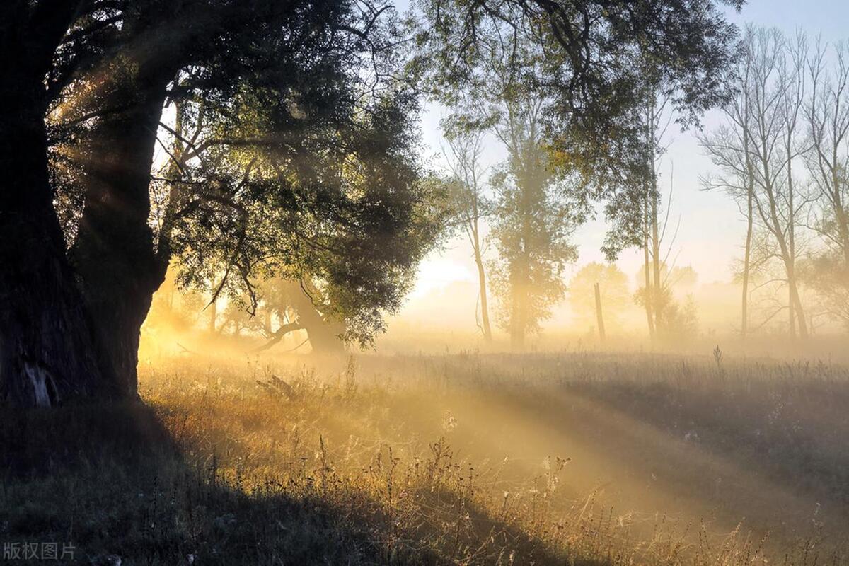 How to remove fog from photos? It turns out that the method is so ...