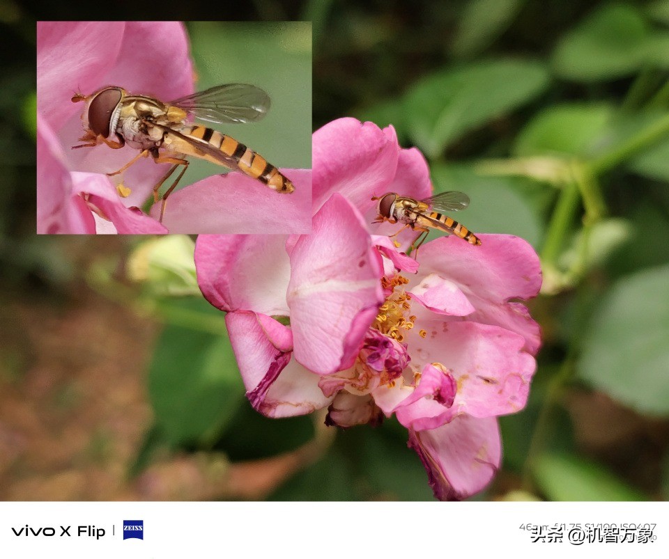 50-megapixel Zeiss outsole OIS main camera blessing vivo X Flip small ...