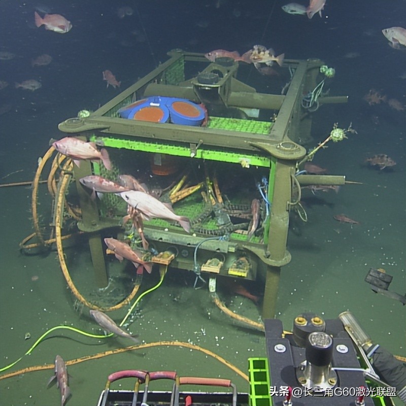 Invader Invader 'carrying' lasers for deep-sea adventures - iMedia