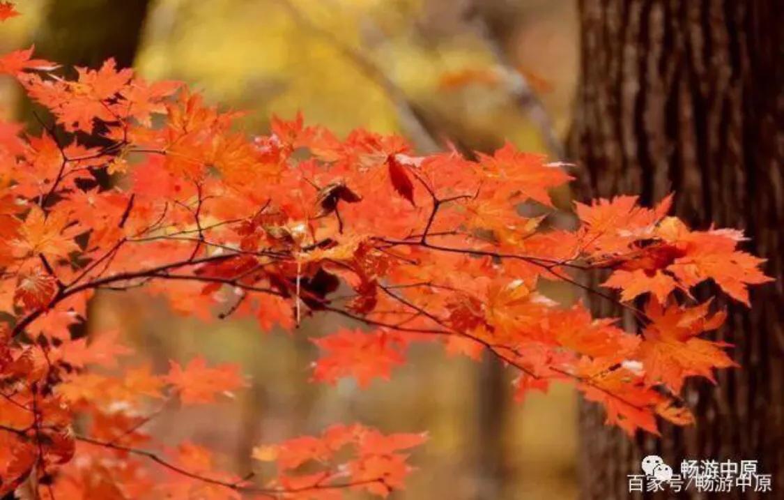 Five-character lyric poems original autumn wind - iNEWS